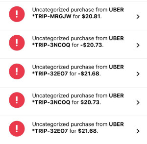 How Does Uber Show Up on Your Bank Statement?