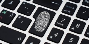 What Is the WHO Internet Charge on Your Bank Statement?