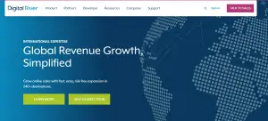 What Is the DRI* Digital River Charge on Your Bank Statement?